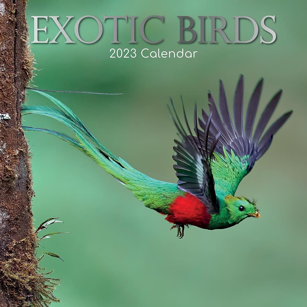 Exotic Birds Calendar 2023, The Gifted Stationary - Antic Exlibris