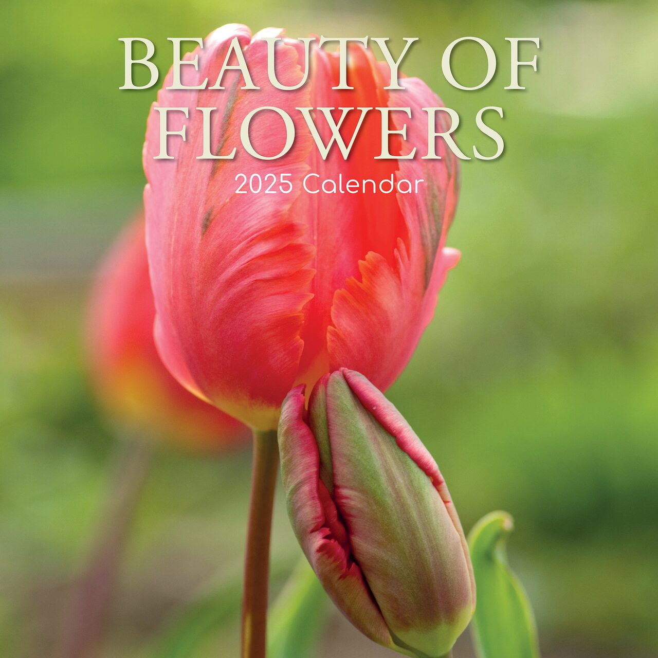 2025 Square Wall Calendar Flowers, The Gifted Stationery Company ...