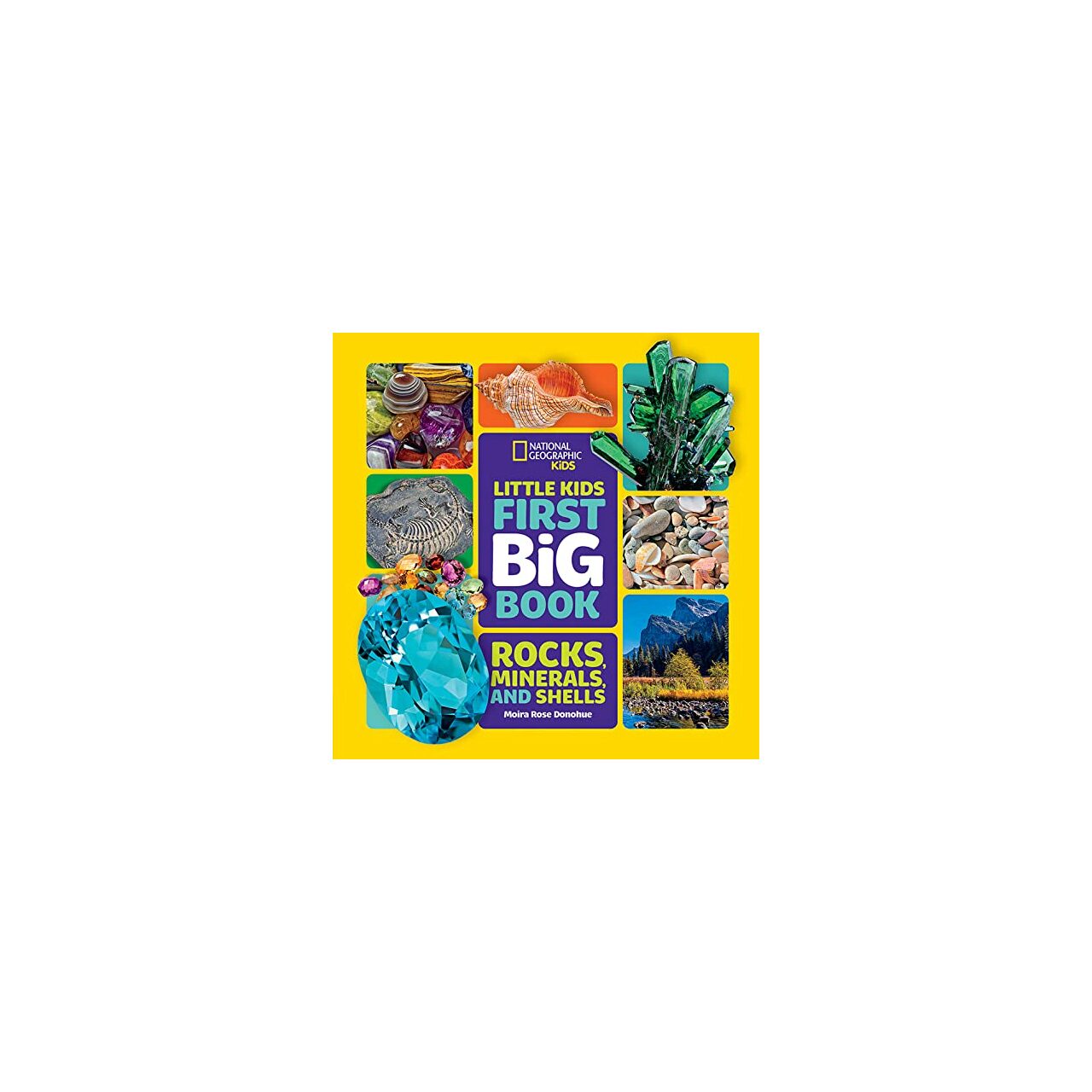 Little Kids First Big Book of Rocks, Minerals and Shells, Moira Rose ...