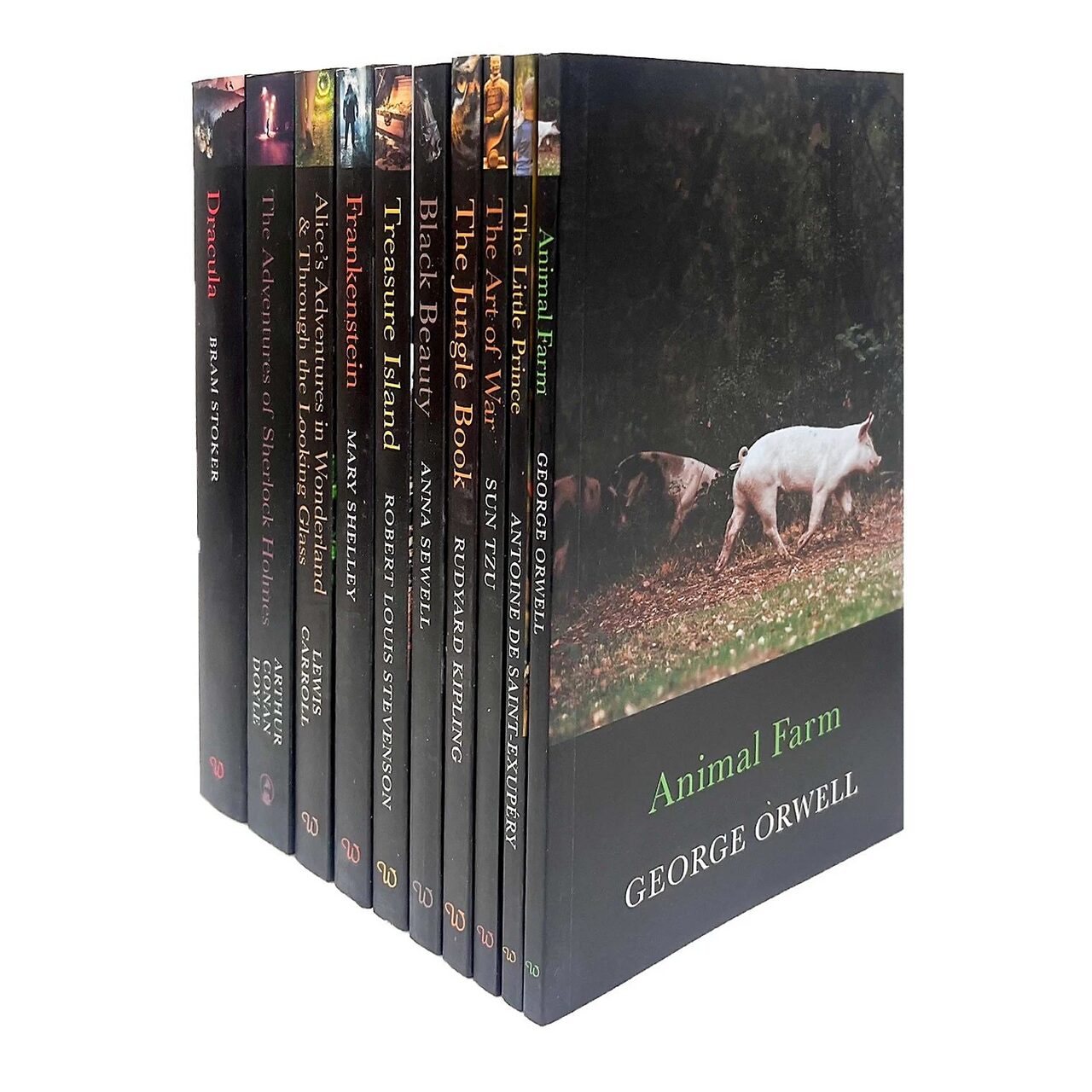 Literature Classics - 10 Books Collection Set, Various - Antic Exlibris