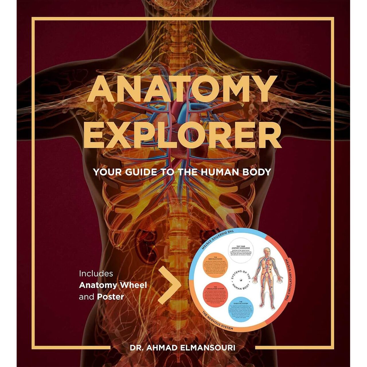 Anatomy Explorer - Your Guide to the Human Body - Antic Exlibris